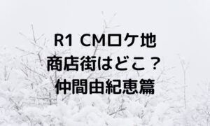 R1のCMロケ地商店街はどこ？仲間由紀恵篇「冬の私は弱いから」 | スッキリさん